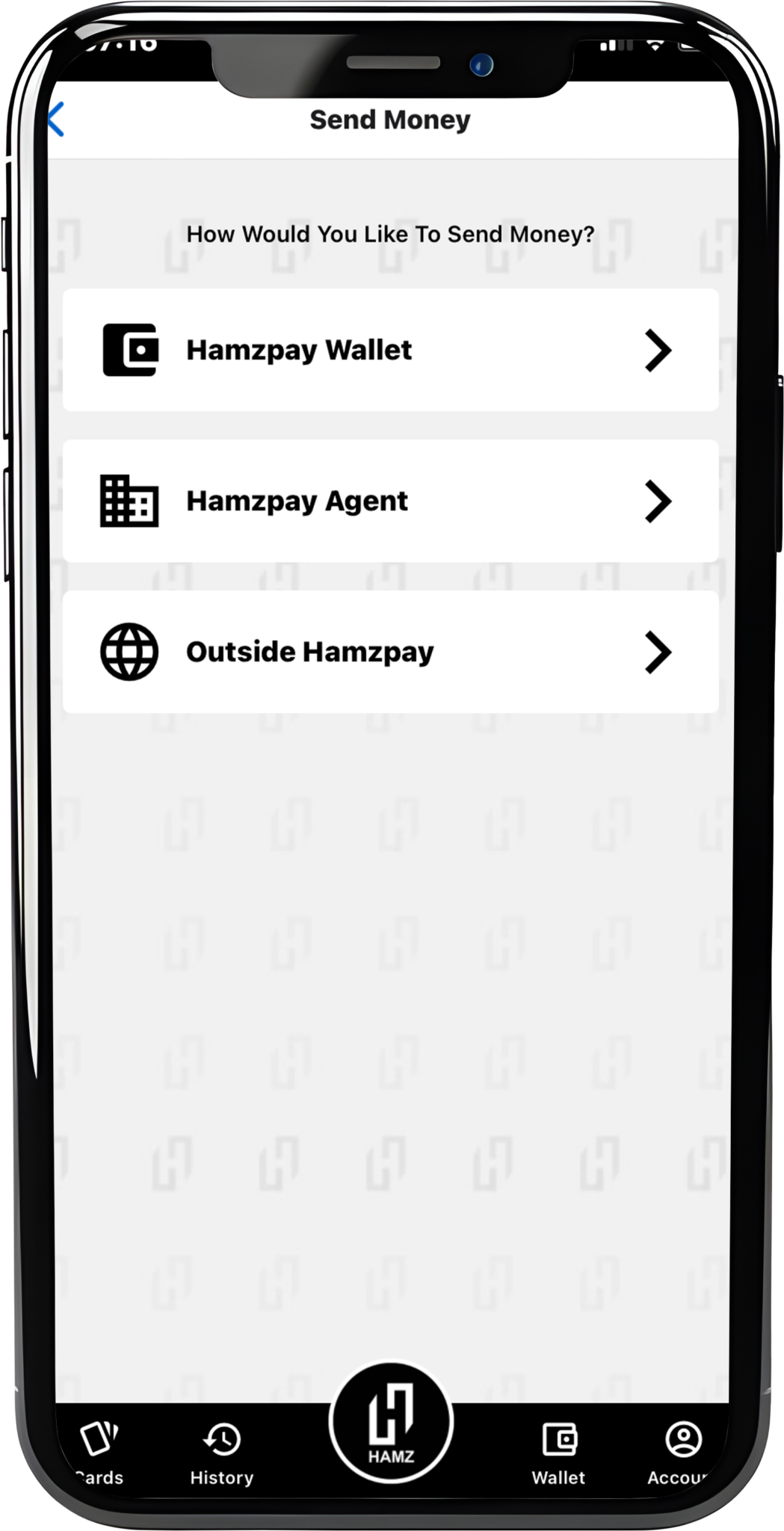 Hamzpay